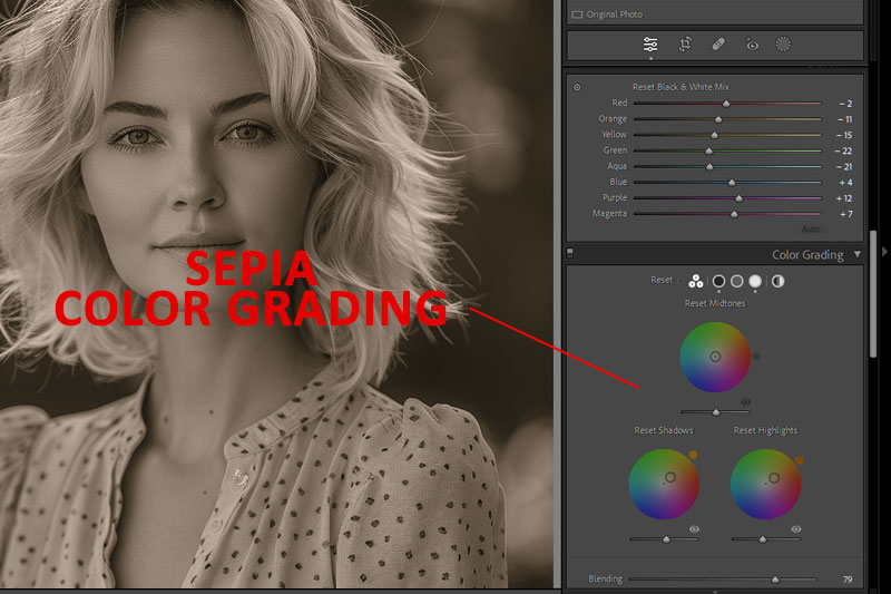 Understanding Black & White and Monochrome Photography