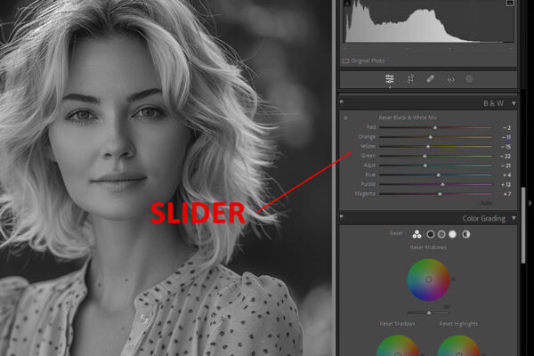 Understanding Black & White and Monochrome Photography