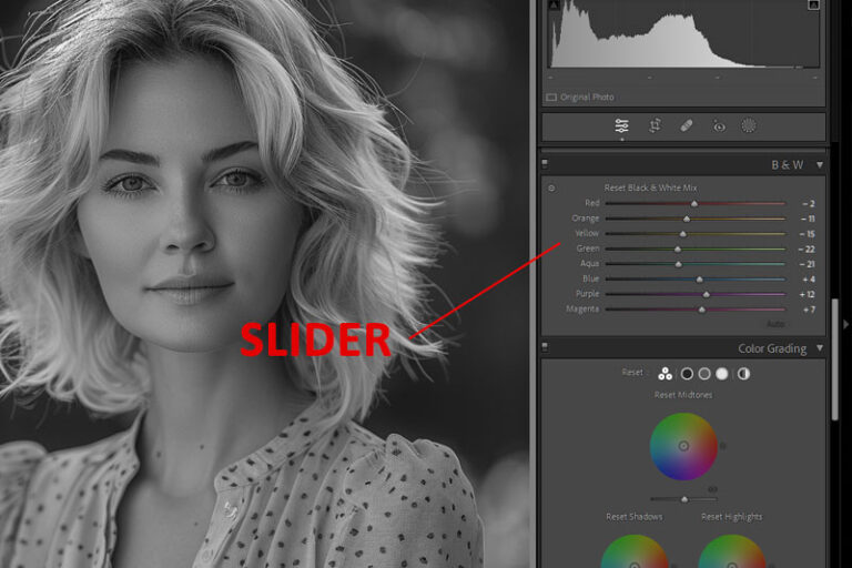 Understanding Black & White and Monochrome Photography